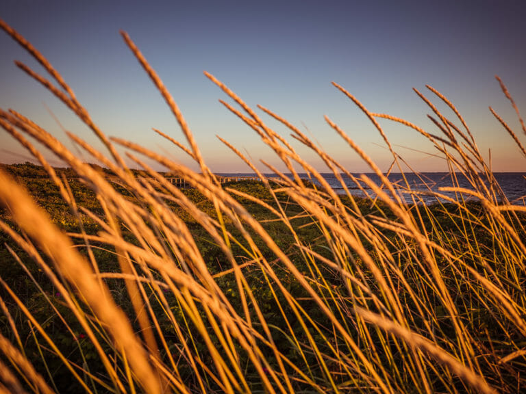 SÜDSCHWEDEN - DER PERFEKTE GUIDE FÜR DIE REGION SKANE IN ...